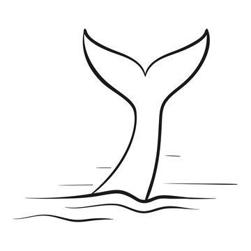 Whale Tail Outline Images – Browse 3,787 Stock Photos, Vectors, and ...