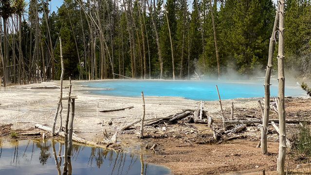 "Cistern Spring" Images – Browse 36 Stock Photos, Vectors, and Video ...
