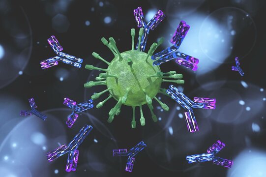 รูปภาพPlasmocyte – เลือกดูภาพถ่ายสต็อก เวกเตอร์ และวิดีโอ690 | Adobe Stock