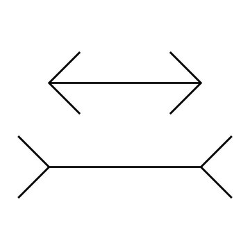 Muller-Lyer Images – Browse 5 Stock Photos, Vectors, and Video | Adobe ...