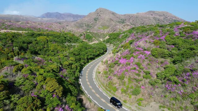 "Mount Aso" Imagens – Procure 707 fotos, vetores e vídeos | Adobe Stock