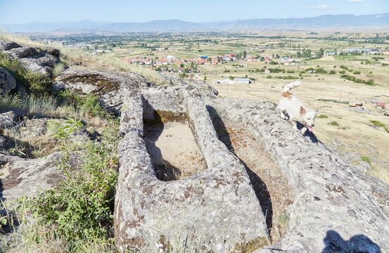 รูปภาพPrilep – เลือกดูภาพถ่ายสต็อก เวกเตอร์ และวิดีโอ587 | Adobe Stock
