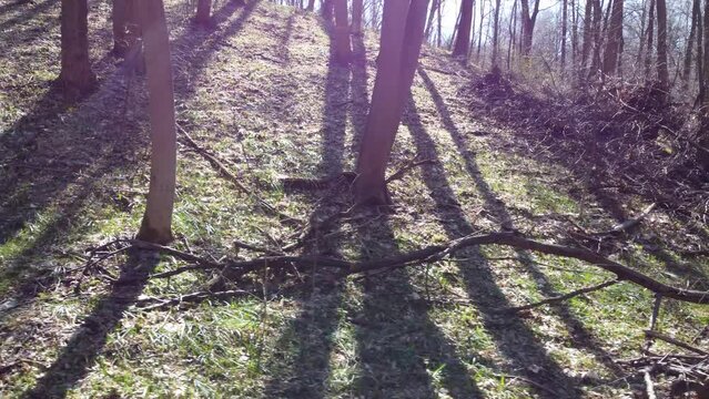 Imagens de Woken – Explore Fotografias do Stock, Vetores e Vídeos de ...