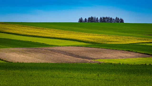 รูปภาพIdylla – เลือกดูภาพถ่ายสต็อก เวกเตอร์ และวิดีโอ446 | Adobe Stock