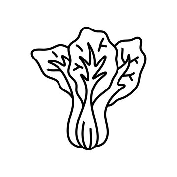 Pechay Clipart Black And White