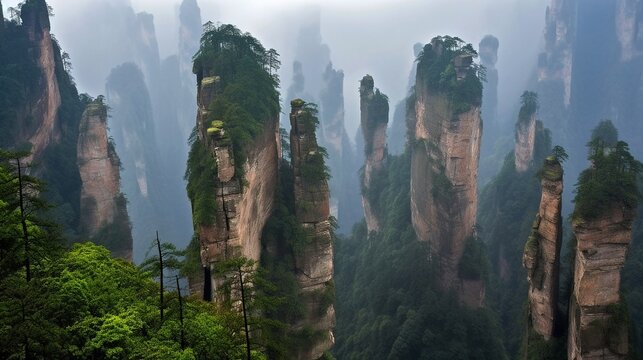 Tianzi Mountains Wallpaper