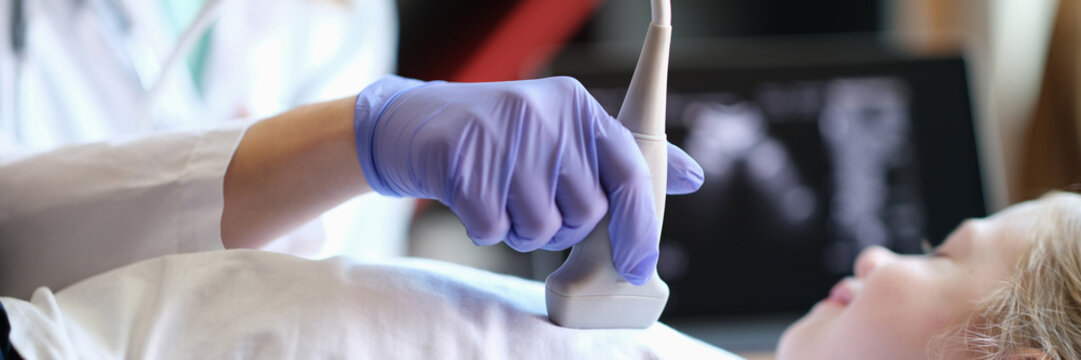 「間者」の写真素材 | 2,289,418件の無料イラスト画像 | Adobe Stock