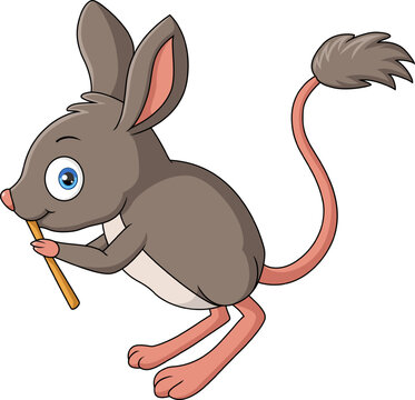 Wüstenspringmaus-Bilder: Stock-Fotos & -Videos. | Adobe Stock