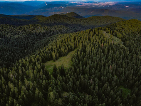 Platonas Bilder – Durchsuchen 8,031 Archivfotos, Vektorgrafiken und ...