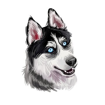 Hound Dog Howling Clipart