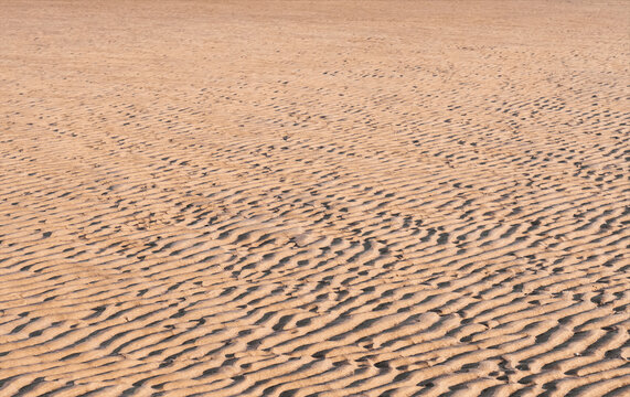 "Sand Texture" bilder – Bläddra bland 6,319 stockfoton, vektorer och ...