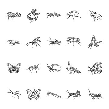 Dragon Fly Line Drawing Images – Browse 13,701 Stock Photos, Vectors ...