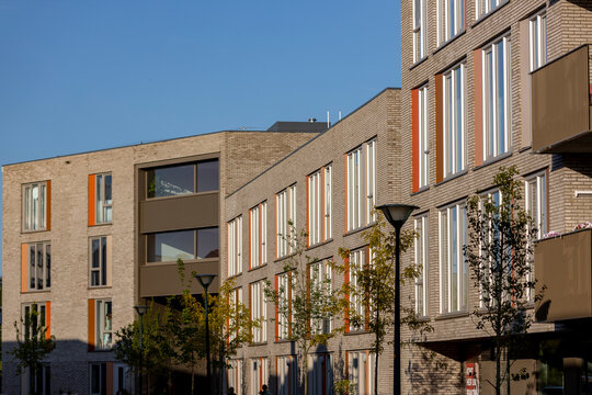 「Capstone」の写真素材 | 3,313件の無料イラスト画像 | Adobe Stock