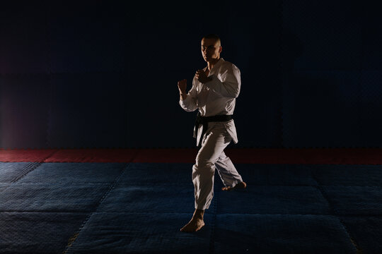 Karatist Images – Browse 33 Stock Photos, Vectors, and Video | Adobe Stock