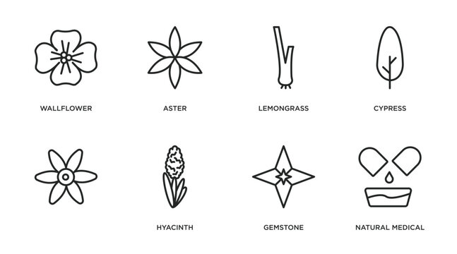 Imágenes de Wallflower: descubre bancos de fotos, ilustraciones ...