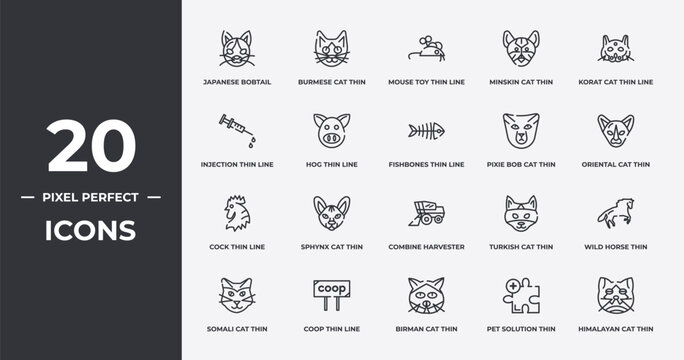 "Cat Breeds" Bilder – Durchsuchen 4,910 Archivfotos, Vektorgrafiken und ...