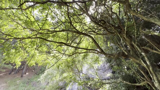 Nachural bilder – Bläddra bland 14 stockfoton, vektorer och videor ...