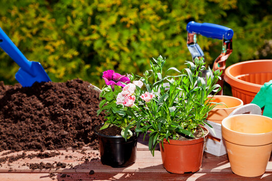 Rabatten bilder – Bläddra bland 479,427 stockfoton, vektorer och videor ...