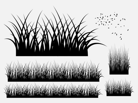 Tall Grass Silhouette Vector