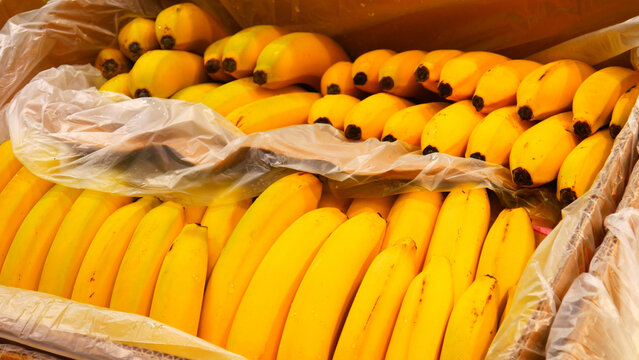 Box Of Bananas Images – Browse 13,637 Stock Photos, Vectors, and Video ...