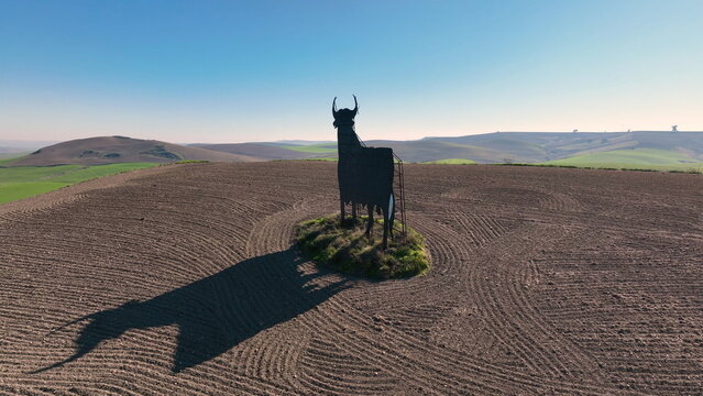 "Osborne Stier" Bilder – Durchsuchen 82 Archivfotos, Vektorgrafiken und ...