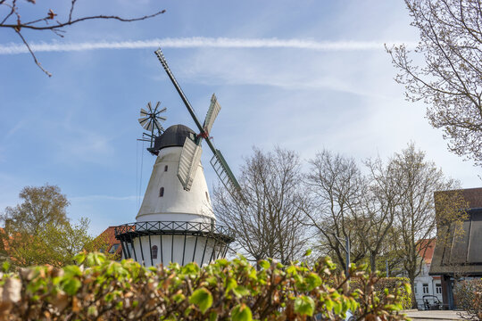 Cora Müller photos, images, assets | Adobe Stock