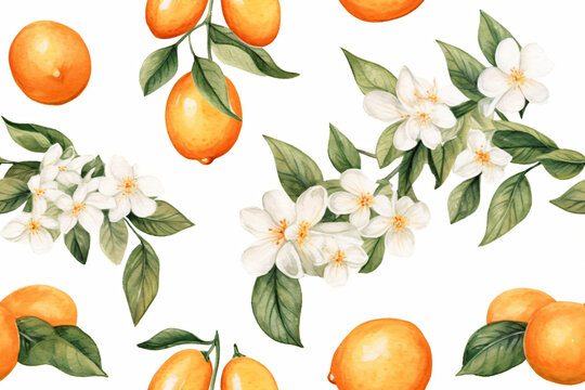 Orange Blossom Botanical Illustration