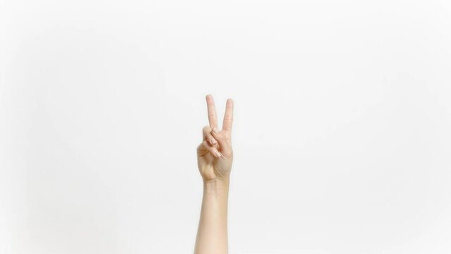 Peace Sign Hand Images – Browse 223,649 Stock Photos, Vectors, and ...