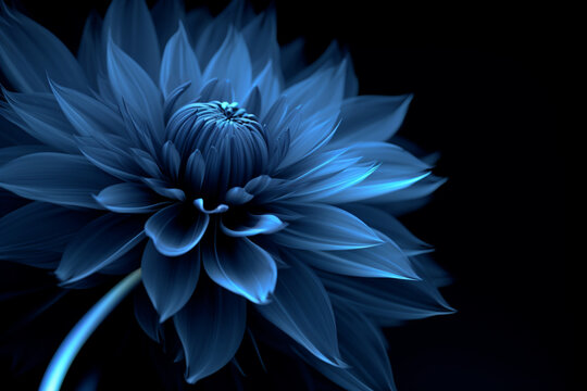 Bereavement Background Bilder – Durchsuchen 41,450 Archivfotos ...