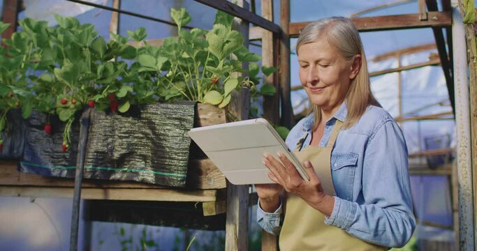 "Female Gardener" Images – Browse 354 Stock Photos, Vectors, and Video ...