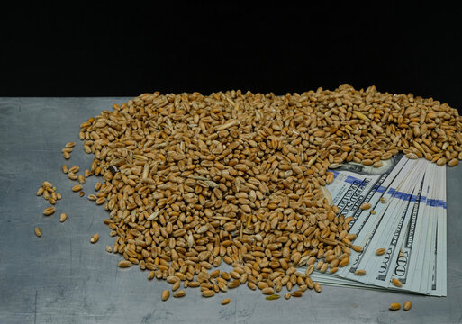 Valuta Bilder – Durchsuchen 12,367 Archivfotos, Vektorgrafiken und ...