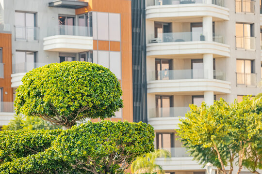 Inhabitation Bilder – Durchsuchen 51,198 Archivfotos, Vektorgrafiken ...