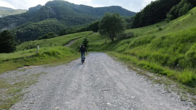 "Colla-Bilder: Stock-Fotos & -Videos. | Adobe Stock