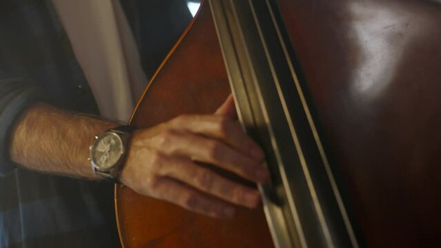 "Contra Bass" Images – Browse 13,416 Stock Photos, Vectors, and Video ...