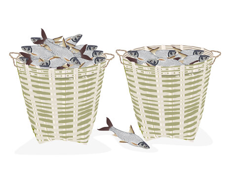 Enoplos Images – Browse 4 Stock Photos, Vectors, and Video | Adobe Stock