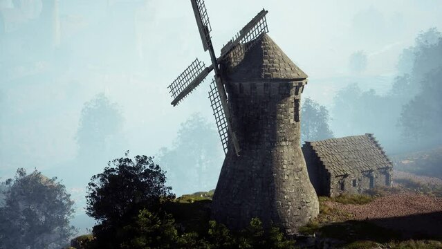 Tefia Bilder – Durchsuchen 310 Archivfotos, Vektorgrafiken und Videos | Adobe Stock