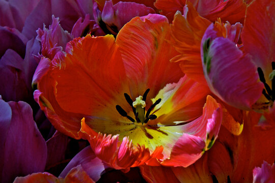 Stigma Images – Browse 65,296 Stock Photos, Vectors, and Video | Adobe ...