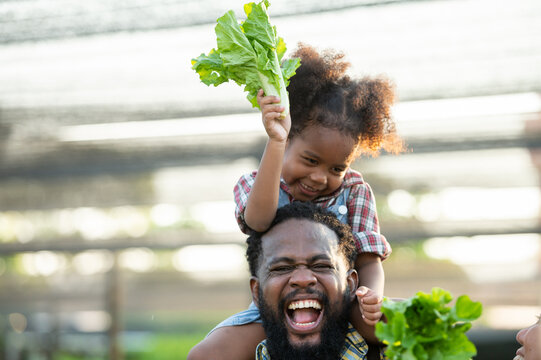 Father Farmer Images – Browse 22,525 Stock Photos, Vectors, and Video ...
