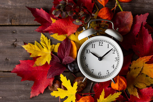 "Winter Time" Images – Browse 95,473 Stock Photos, Vectors, and Video ...