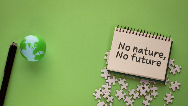 "No Future" Bilder – Durchsuchen 597 Archivfotos, Vektorgrafiken und ...