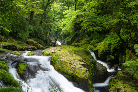 รูปภาพTakis – เลือกดูภาพถ่ายสต็อก เวกเตอร์ และวิดีโอ59,494 | Adobe Stock