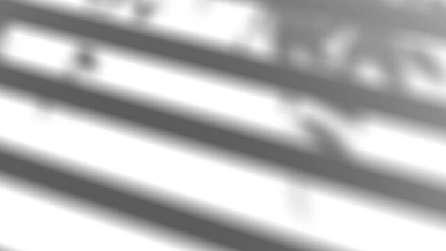 Gobo 이미지 – 찾아보기 1,629 스톡 사진, 벡터 및 비디오 | Adobe Stock