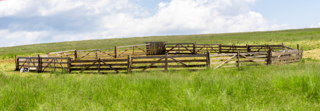 "Animal Pen" Images – Browse 48,443 Stock Photos, Vectors, and Video ...