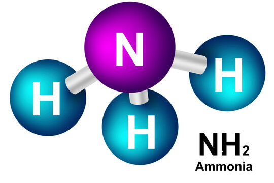 Nh3 Structural Formula