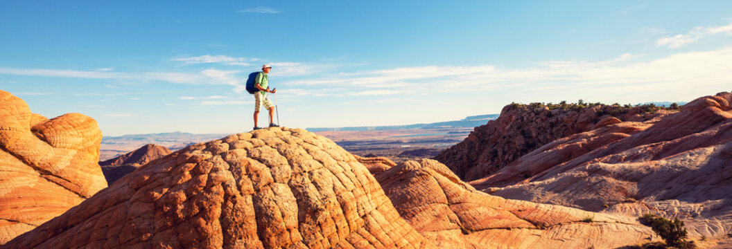 Galyna Andrushko photos, images, assets | Adobe Stock