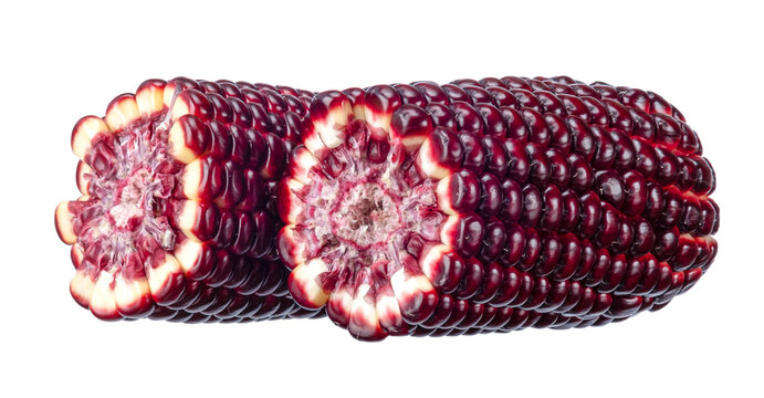 "Purple Corn Images – Browse 16,210 Stock Photos, Vectors, and Video ...