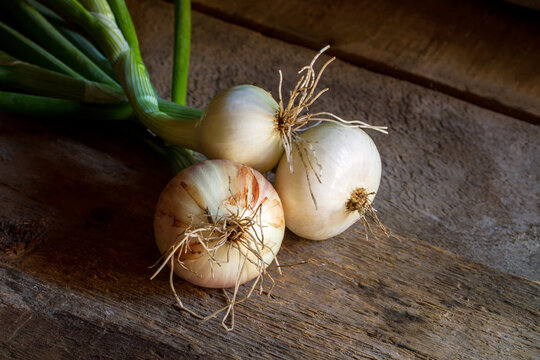 รูปภาพ"Onion Sticks" – เลือกดูภาพถ่ายสต็อก เวกเตอร์ และวิดีโอ92,692 ...