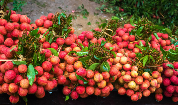 ライチ Images – Browse 624 Stock Photos, Vectors, and Video | Adobe Stock