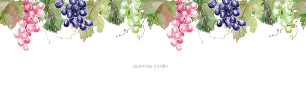 Grape Frame Images – Browse 50,103 Stock Photos, Vectors, and Video ...