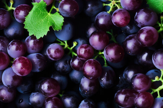 "Grape Background" Images – Browse 612 Stock Photos, Vectors, and Video ...